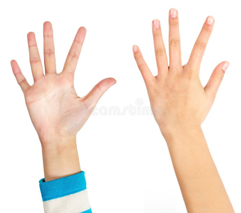 Front and back of the hand stock photo. Image of people - 15219016