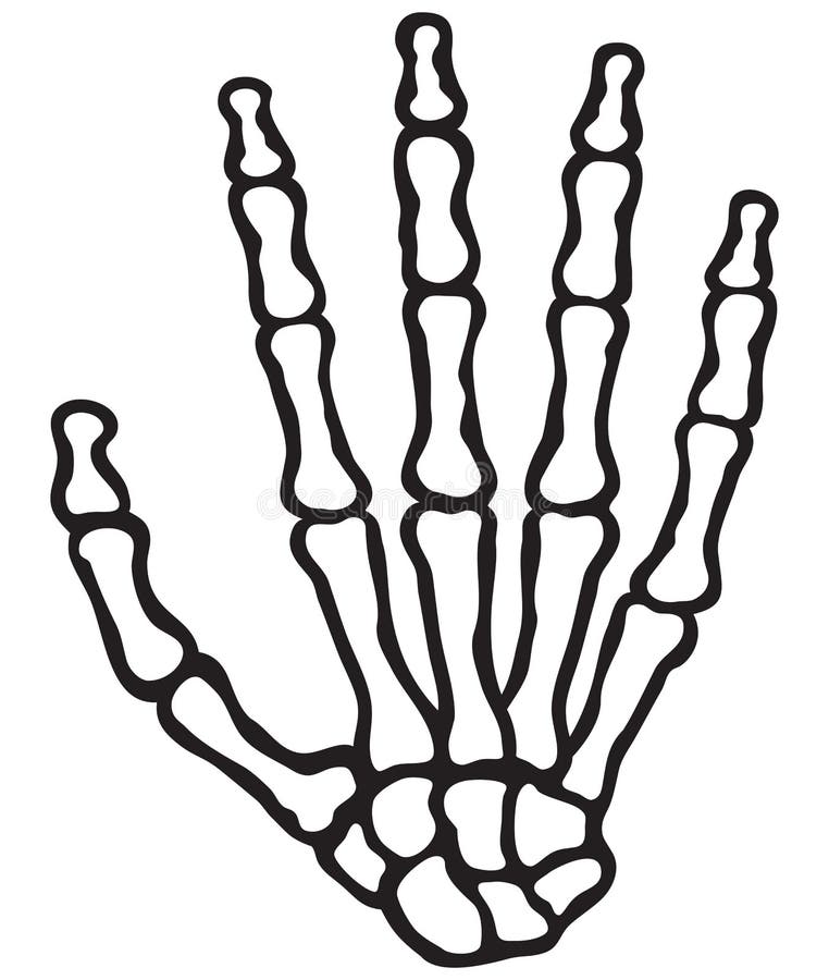 Skeleton Bone Hand Counting Number of Fingers Sign Illustrations Stock ...