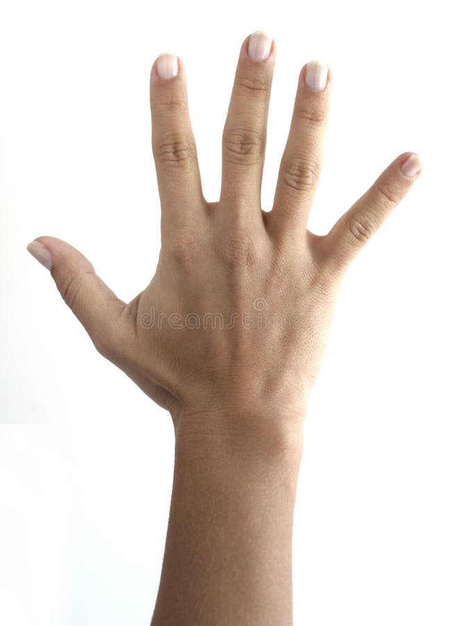 Back of palm stock image. Image of concept, body, arms - 6823855