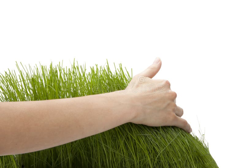 Hand above green grass stock photo. Image of lawn, fingers - 25617716