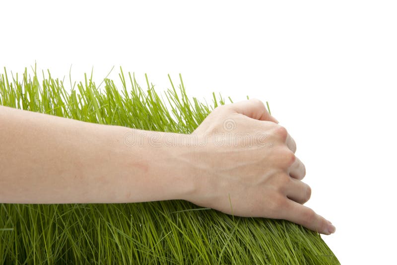 Hand above green grass stock image. Image of finger, relaxation - 25706063