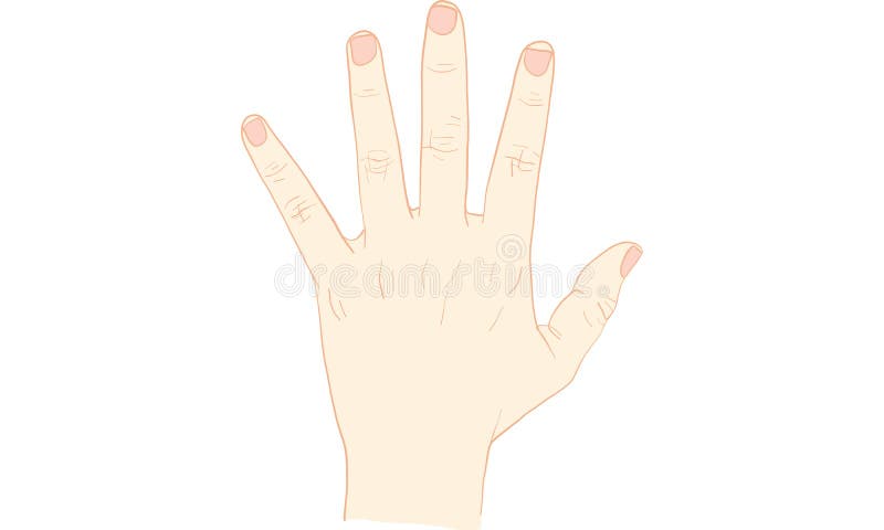 Hand Action Vector, Hand Palm Stock Vector - Illustration of sign ...