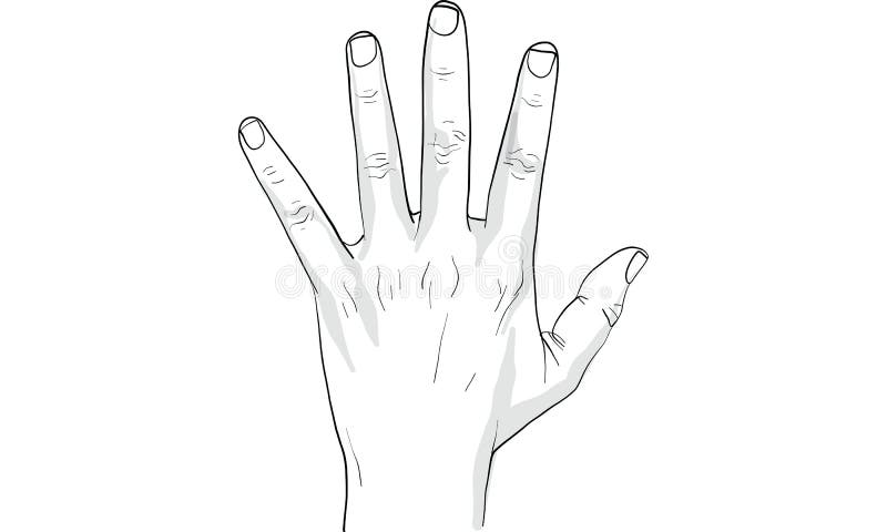 Hand action vector stock vector. Illustration of hand - 112874882