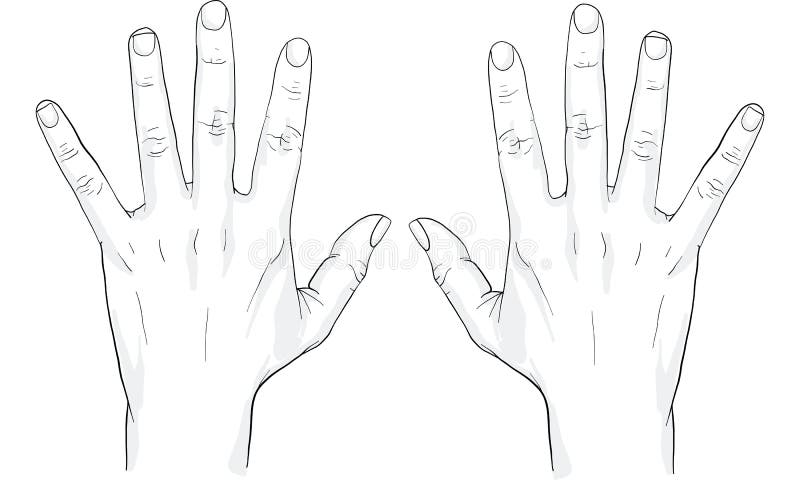 Hand Action Vector, Hand Palm Stock Vector - Illustration of sign ...