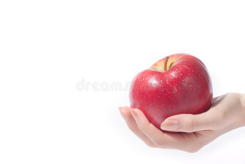 Hand with apple stock photo. Image of yought, attractive - 3666830