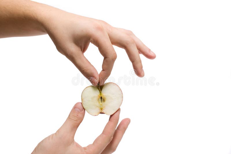 Hand and apple stock image. Image of fruit, hand, show - 7422407