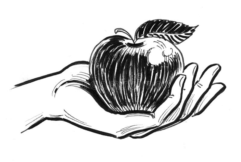 Hand Giving Apple Stock Illustrations – 314 Hand Giving Apple Stock ...