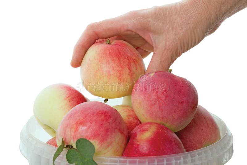Hand with apples stock image. Image of healthy, apple - 59299007