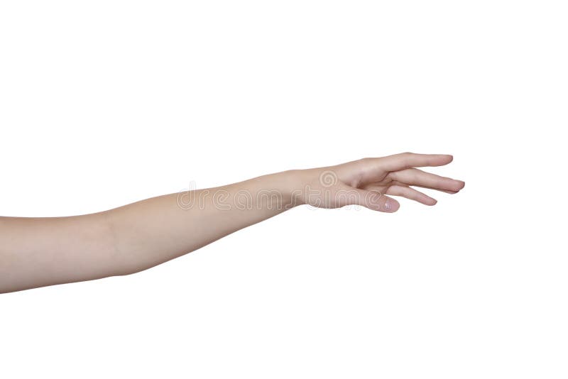 Hand and Arm Isolated on White Stock Photo - Image of healthy ...