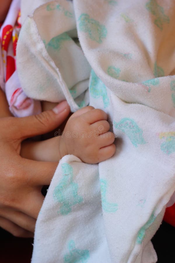 Hand of baby stock image. Image of family, finger, childhood - 51516647