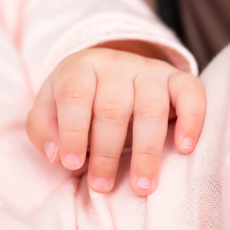 Hand of baby stock image. Image of body, small, babys - 78077351