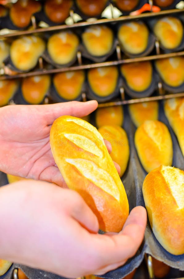 Hand of Baker or Apprentice Baker Taking Out the Milk Breads from the ...