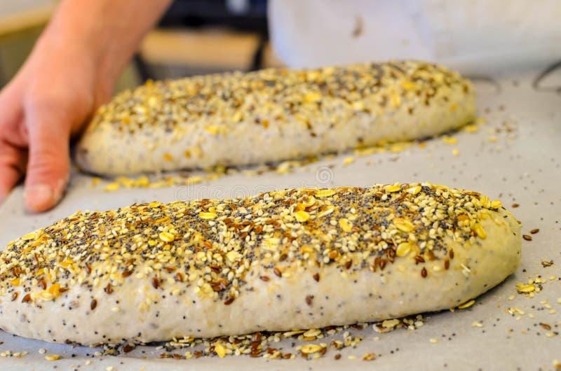 Hand of Baker or Apprentice Baker Preparing Bread Stock Image - Image ...