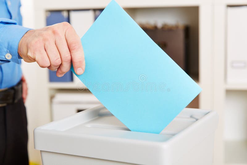 Patriotic Election Day Cats at Podium with Vote Sign Stock Image ...