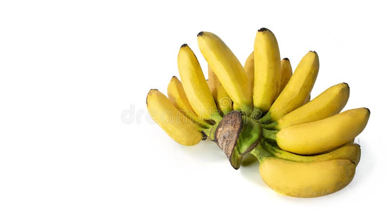 A hand of bananas isolated stock image. Image of healthy - 214365077