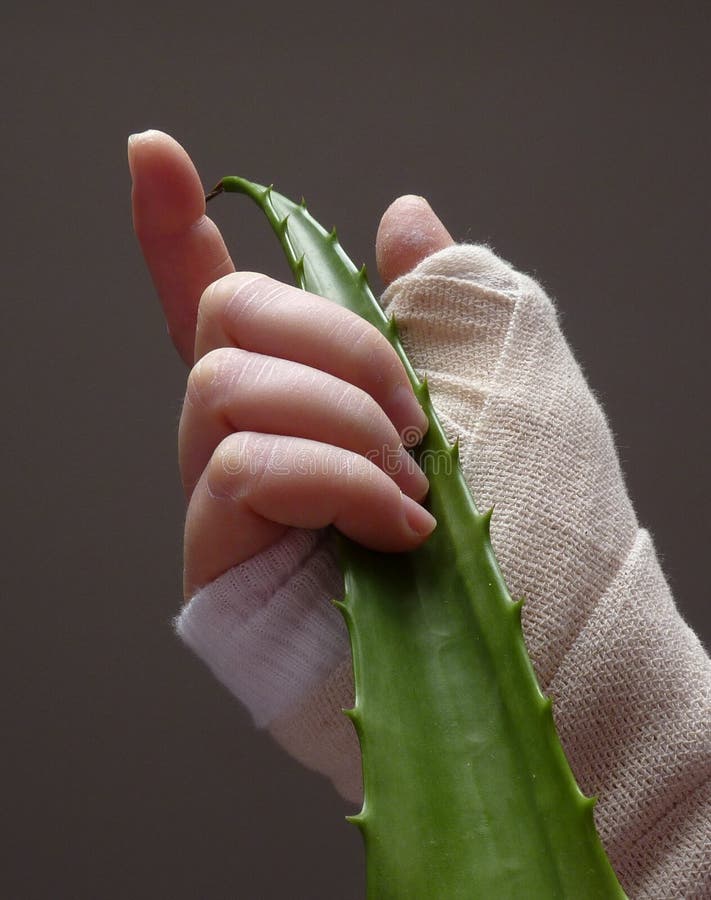 Leaf bandage stock photo. Image of hurt, environmentalist - 10360934