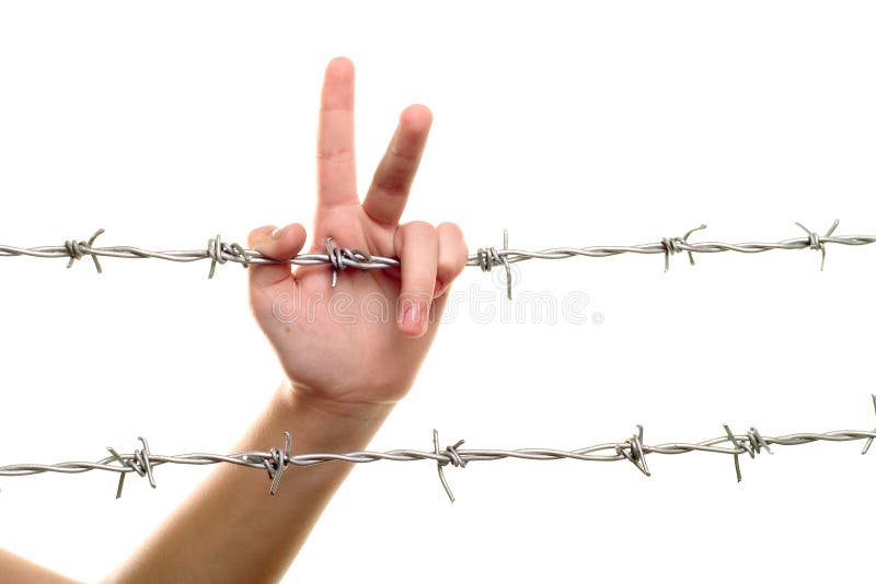 Hand on barbed wire stock photo. Image of sign, containment - 6157826