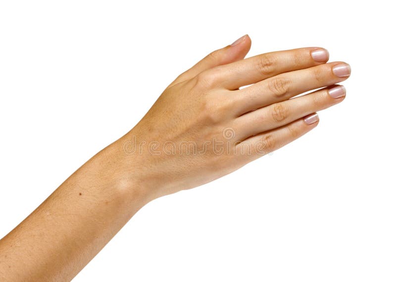 Female Palm Hand Vulcan Gesture, Isolated on White Stock Image - Image ...