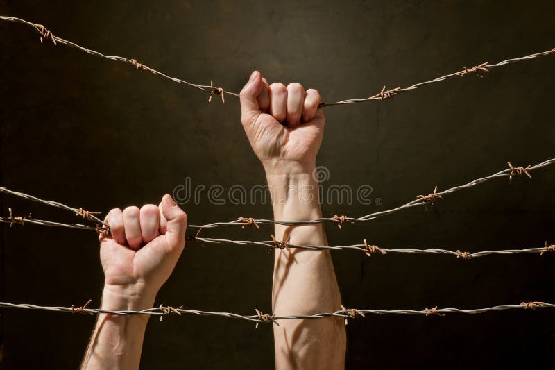1,323 Hand Barbed Wire Stock Photos - Free & Royalty-Free Stock Photos ...