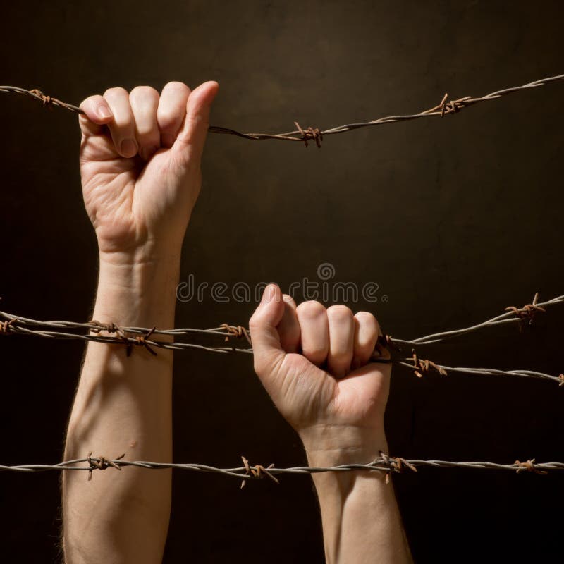 Hand behind barbed wire stock image. Image of palm, hold - 37564749