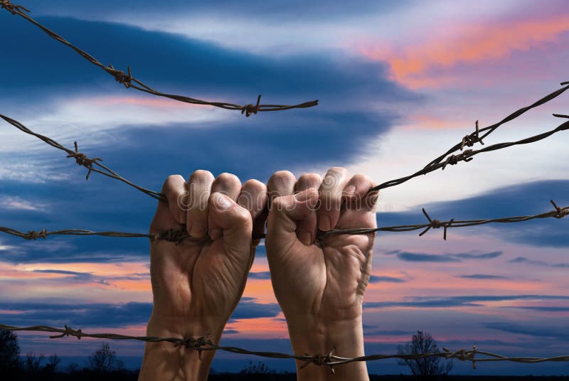 Hand behind barbed wire stock image. Image of blue, prisoner - 41023993