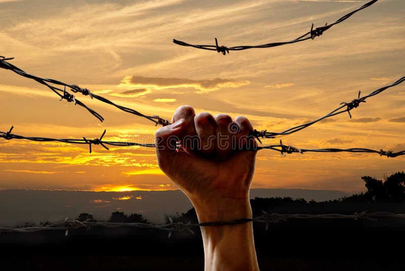 1,377 Hand Barbed Wire Stock Photos - Free & Royalty-Free Stock Photos ...