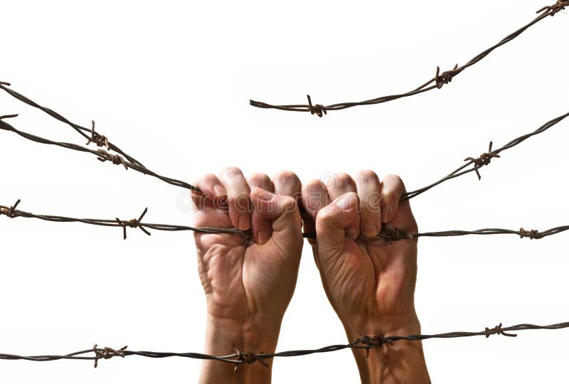 Hand behind barbed wire stock image. Image of palm, hold - 37564749
