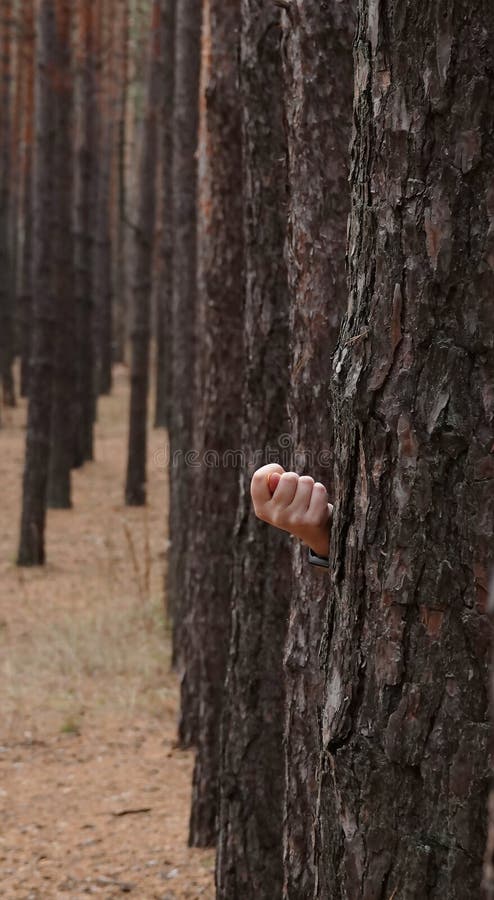 Dool Sign Stock Photos - Free & Royalty-Free Stock Photos from Dreamstime