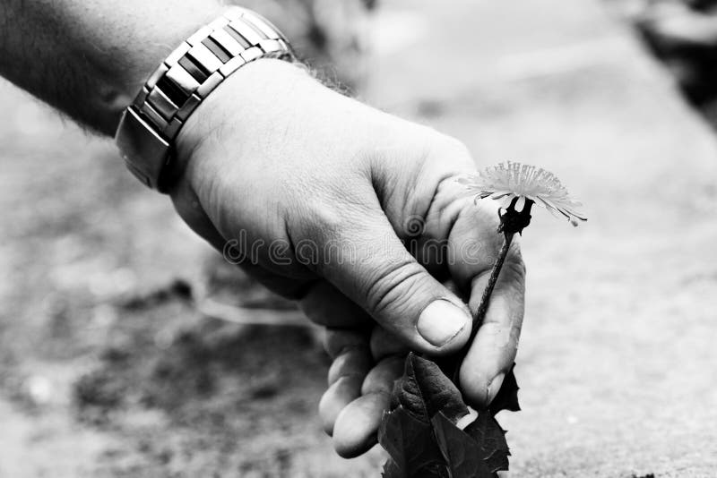 Black, Black And White, Hand, Monochrome Photography Picture. Image ...