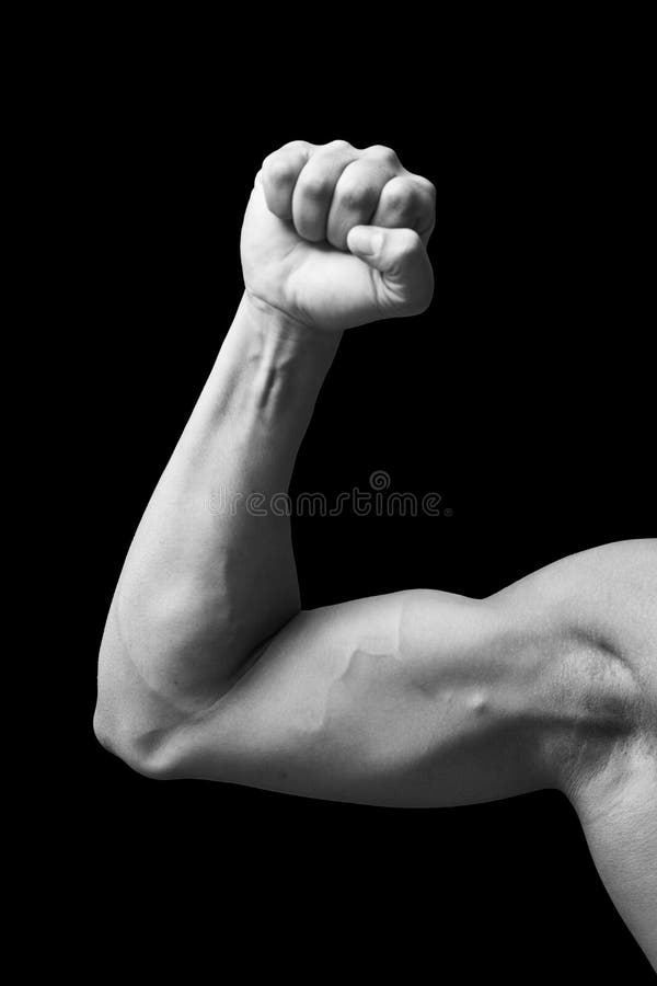 327 Strong Arm Icon Stock Photos - Free & Royalty-Free Stock Photos ...