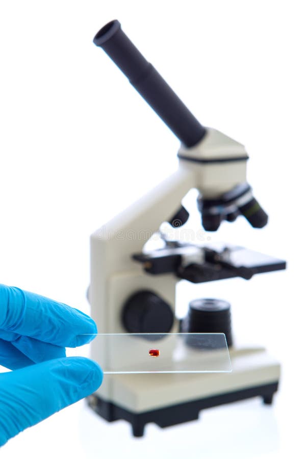 Blood Drop Sample on Test Glass Plate Under Microscope Lens Stock Photo ...