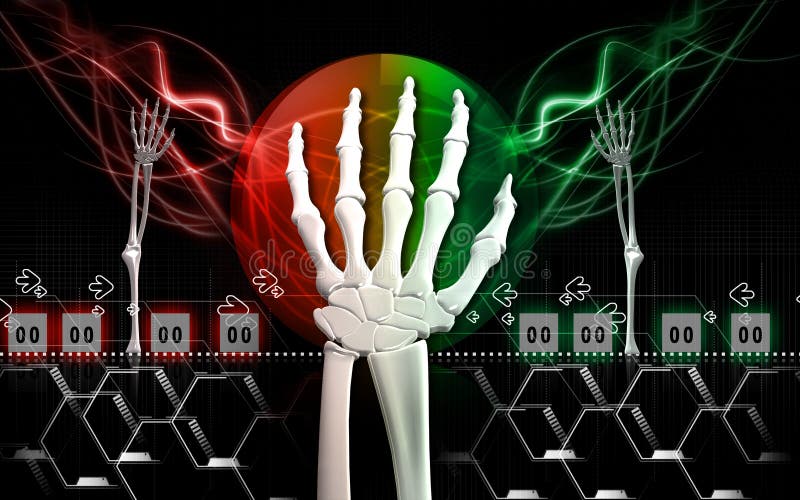Hand bone stock illustration. Illustration of medicine - 14537732