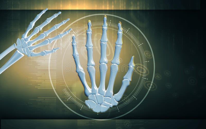 Hand bone stock illustration. Illustration of medicine - 14537732