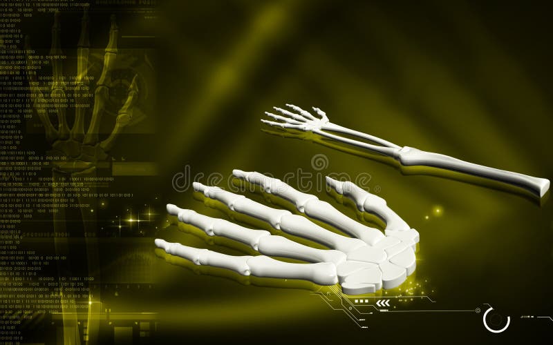Hand bone stock illustration. Illustration of medicine - 14537732
