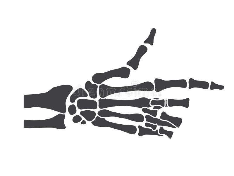 Hand Bones Black and White Human Skeleton Bone Hands Stock Illustration ...