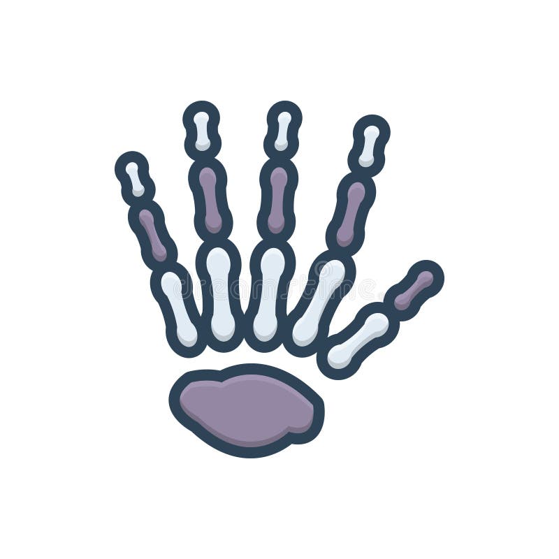 Color Illustration Icon for Hand Bones, Skeleton and Anatomy Stock ...