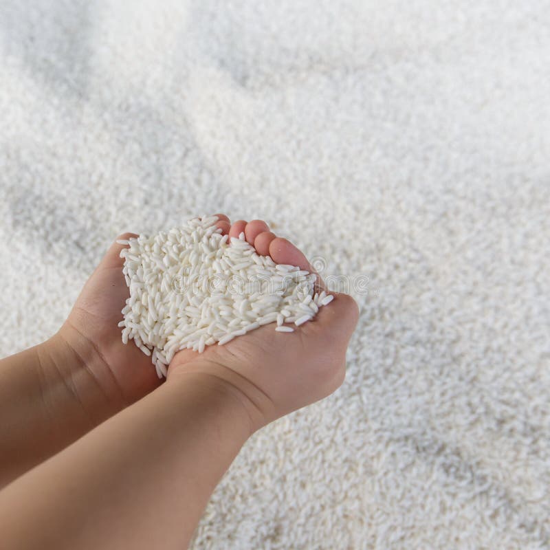 Rice in hand stock image. Image of nature, life, farm - 53562561