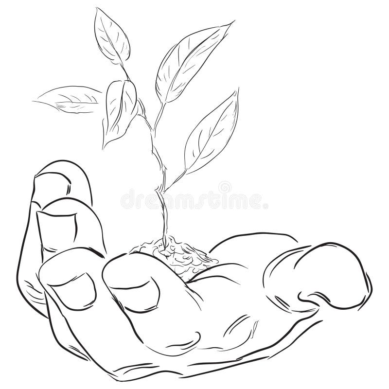 Hand with a branch stock vector. Illustration of finger - 31501537