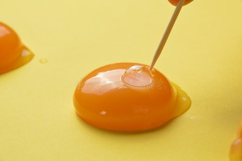 Broken Toothpick Stock Photos - Free & Royalty-Free Stock Photos from ...