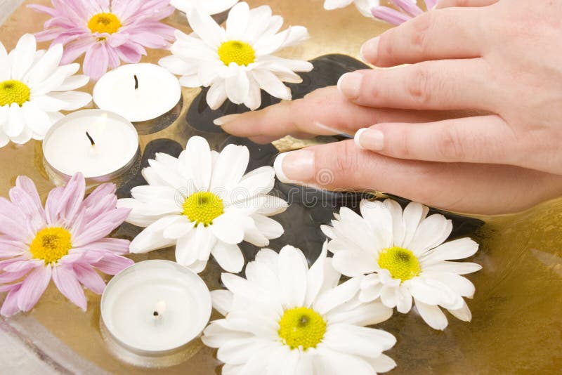 Hand care stock photo. Image of feminine, bodycare, aromatherapy - 3008256