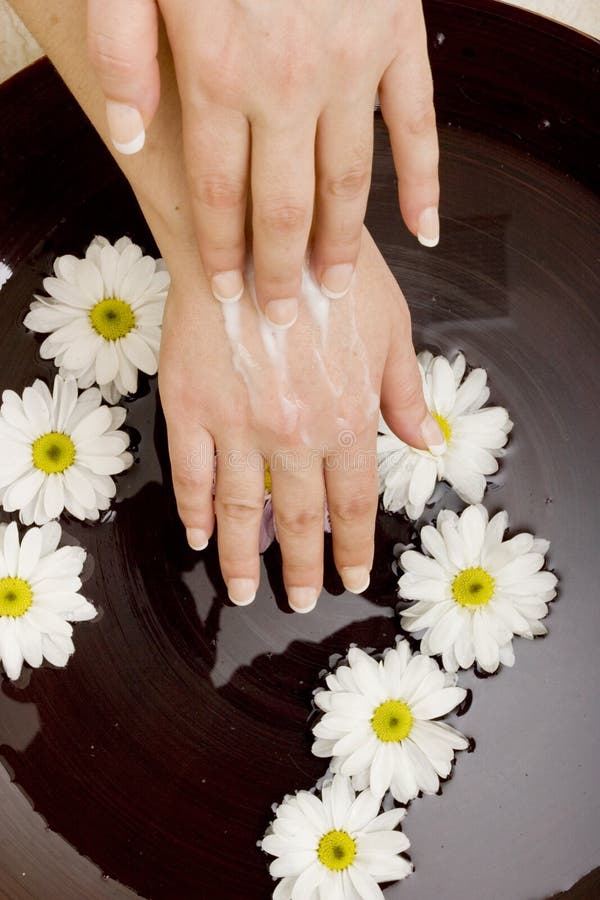 Hand care stock image. Image of pampered, therapy, french - 3155969