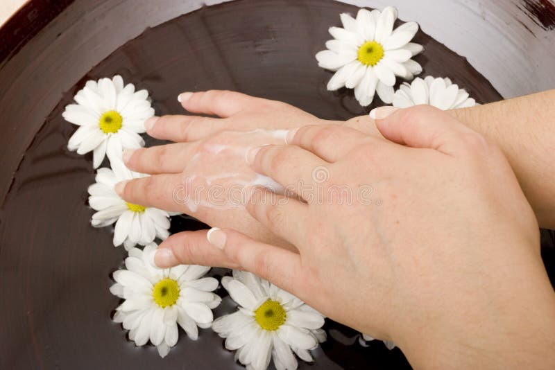 Hand care stock image. Image of flower, wellness, pamper - 3260323