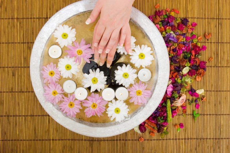 Hand care stock photo. Image of french, bodycare, therapy - 3944988