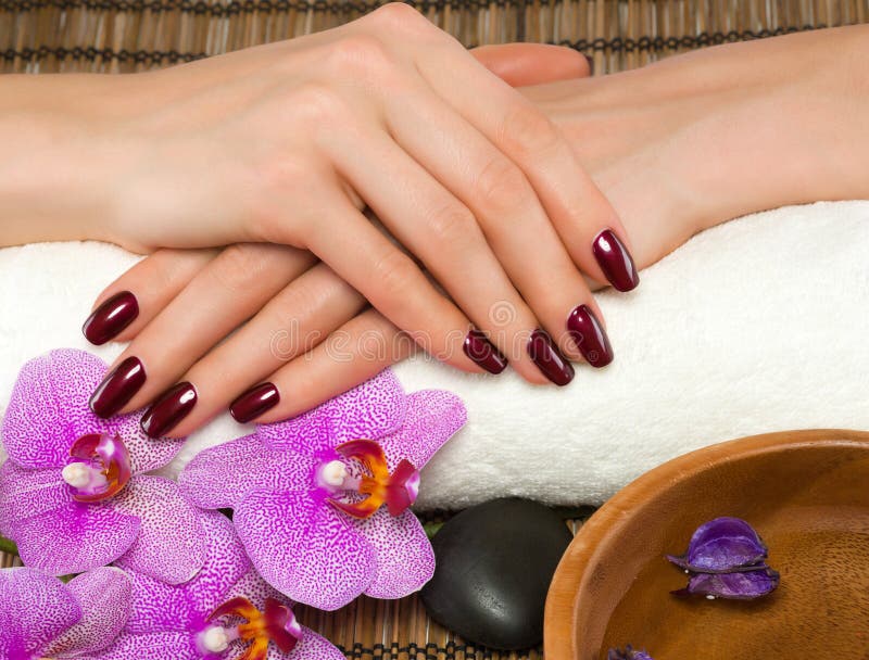 Hand care and manicure stock image. Image of fragility - 33266183