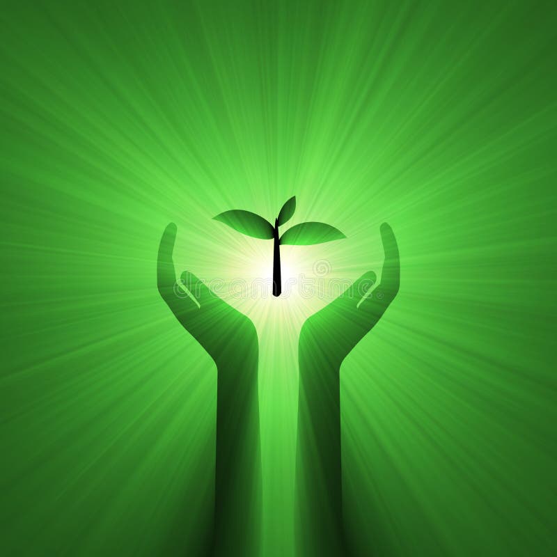 Hand Care Protect Green Plant Flare Stock Illustration - Illustration ...