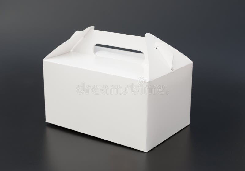Hand carry white box stock photo. Image of carry, gift - 44090698