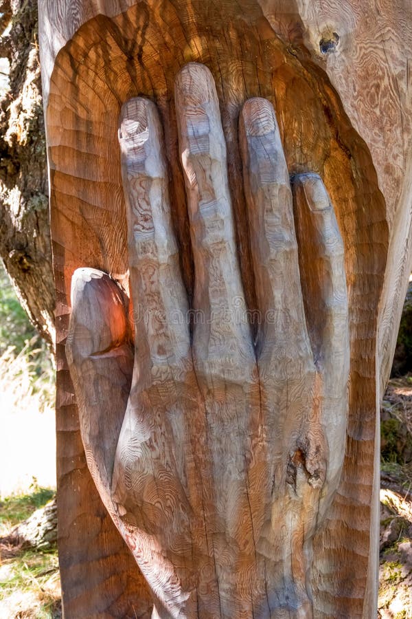Hand carved tree trunk stock photo. Image of hyperopie - 48853578