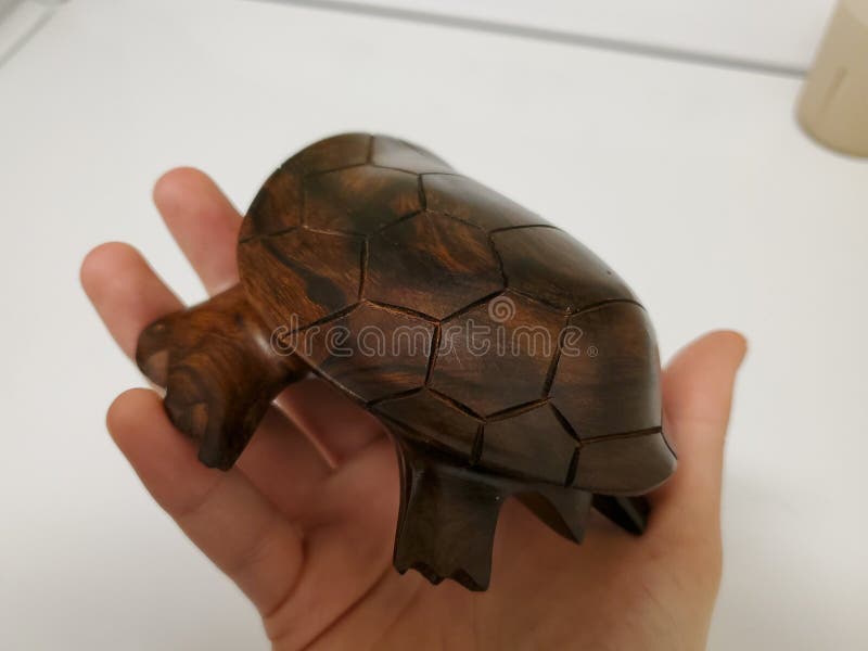 Hand Carved wood turtle stock image. Image of sculpture - 209642417