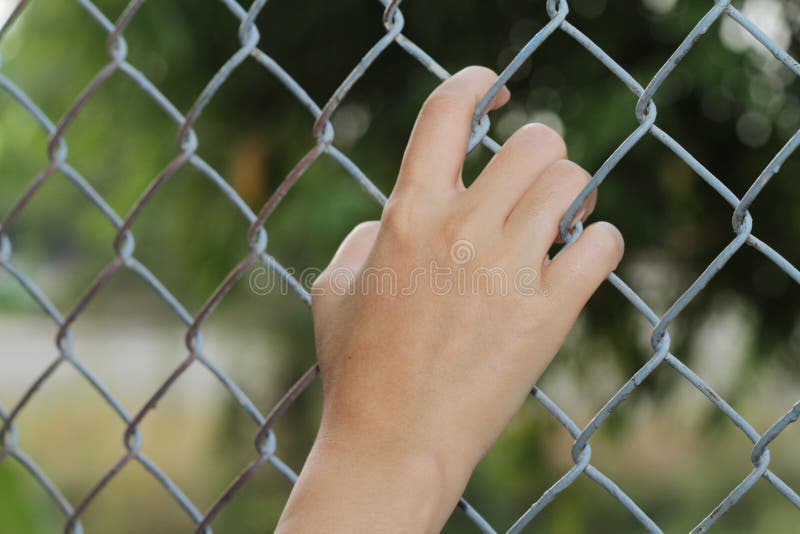 Hand Catch Cage Want To Go Outside. Stock Photo - Image of hope ...