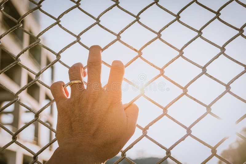 Hand Catch Flying Dollar Bills Stock Image - Image of abundance, number ...